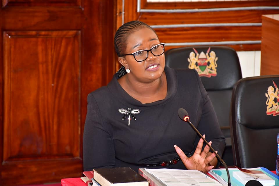 vetting of the last CECM nominee for the Department of Tourism, Culture ...