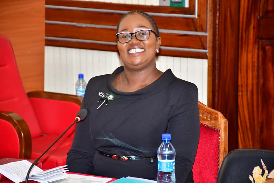 vetting of the last CECM nominee for the Department of Tourism, Culture ...